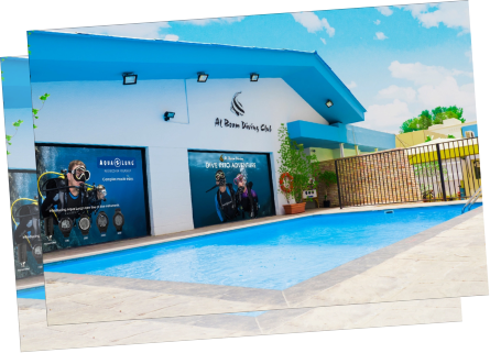 Scuba Diving, Snorkeling & PADI courses in Dubai, Dubai Aquarium or ...