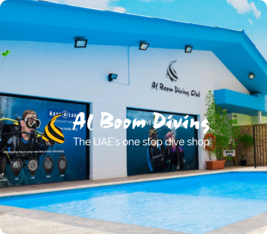 About Us - Al Boom Diving